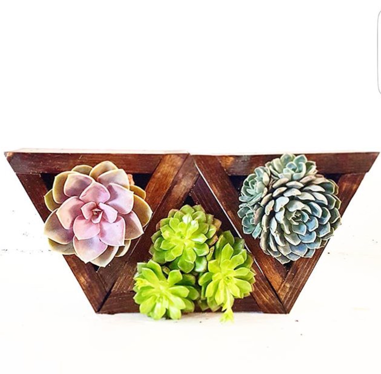 Triangle succulent planter on Storenvy