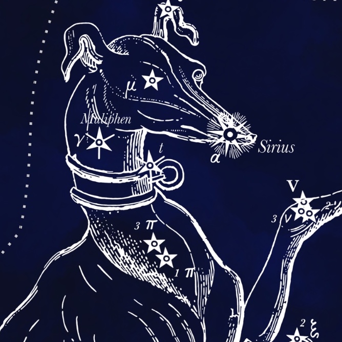 "Canis Major" Print - 8x10 · third eye designs · Online Store Powered ...